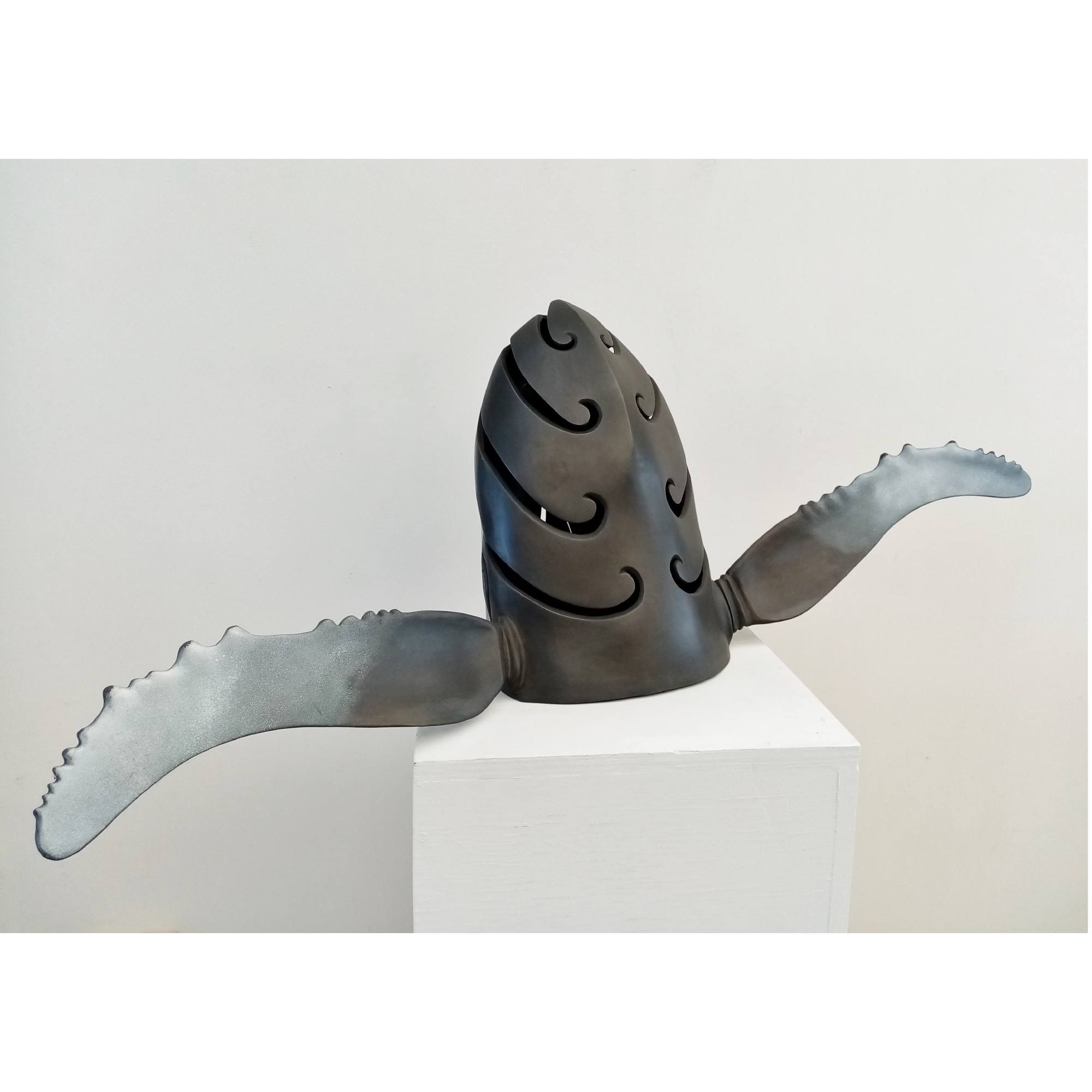 Jay Lloyd – ORA Gallery